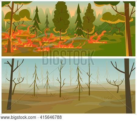 Forest Fire. Burn Vector & Photo (Free Trial) | Bigstock