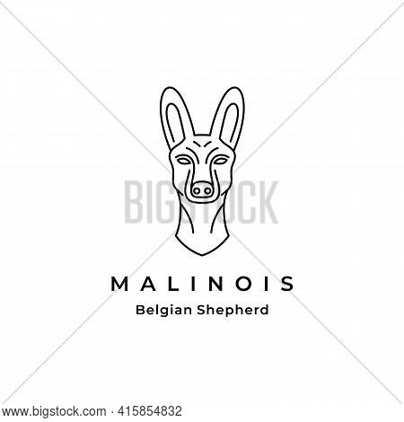 Belgian Malinois Dog Vector & Photo (Free Trial) | Bigstock