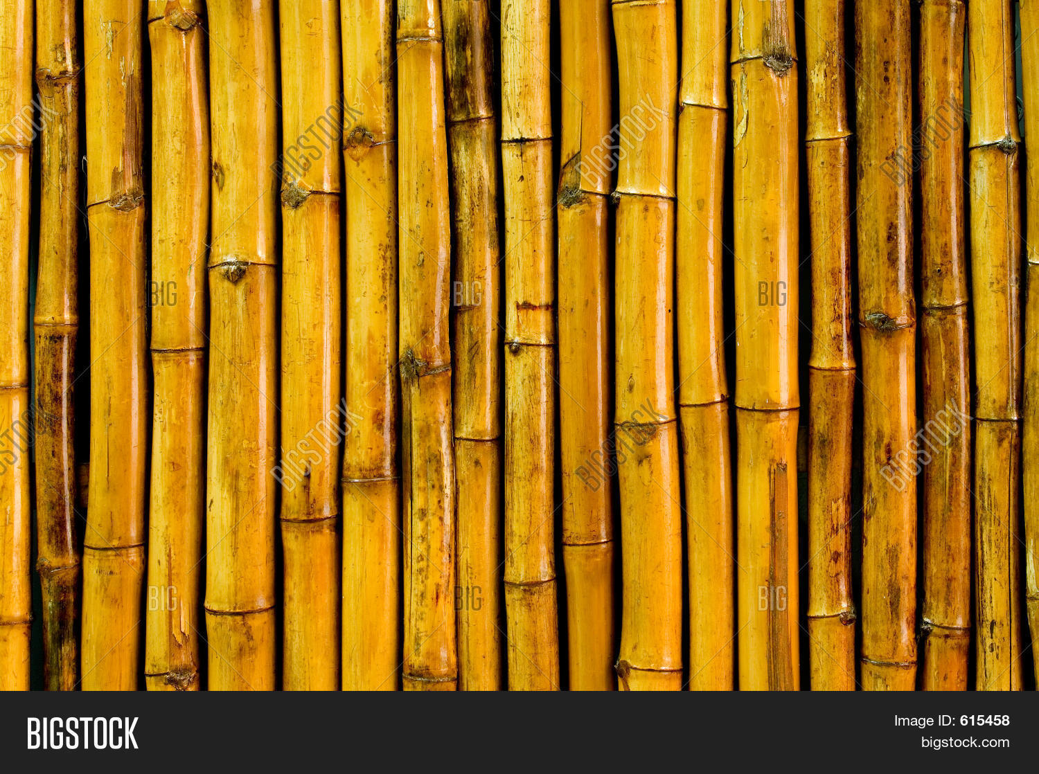 Bamboo Pattern Image & Photo (Free Trial) | Bigstock
