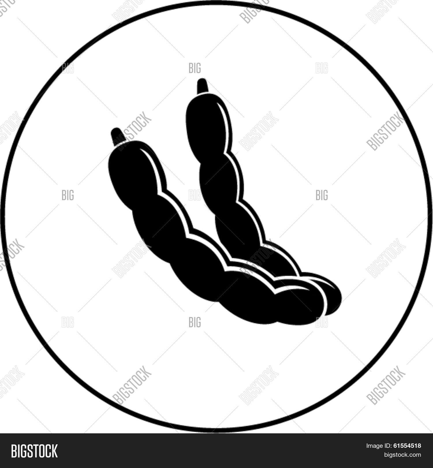 Tamarind Fruit Symbol Vector & Photo (Free Trial) | Bigstock