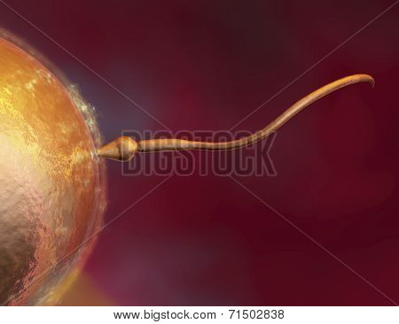 Human Copulation Images, Illustrations & Vectors (Free) - Bigstock