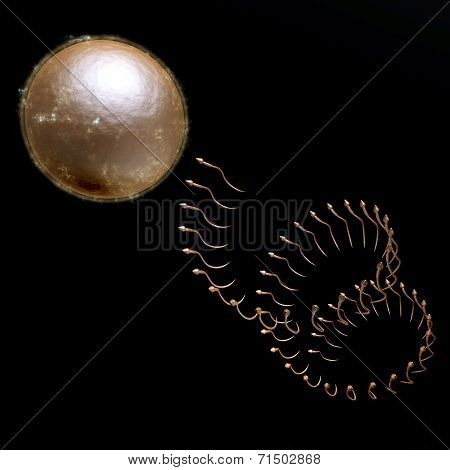 Human Copulation Images, Illustrations & Vectors (Free) - Bigstock