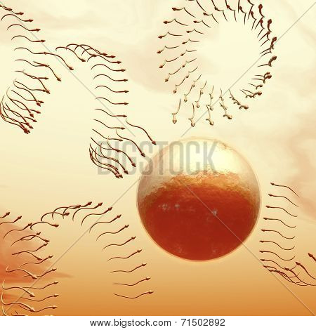 Human Copulation Images, Illustrations & Vectors (Free) - Bigstock