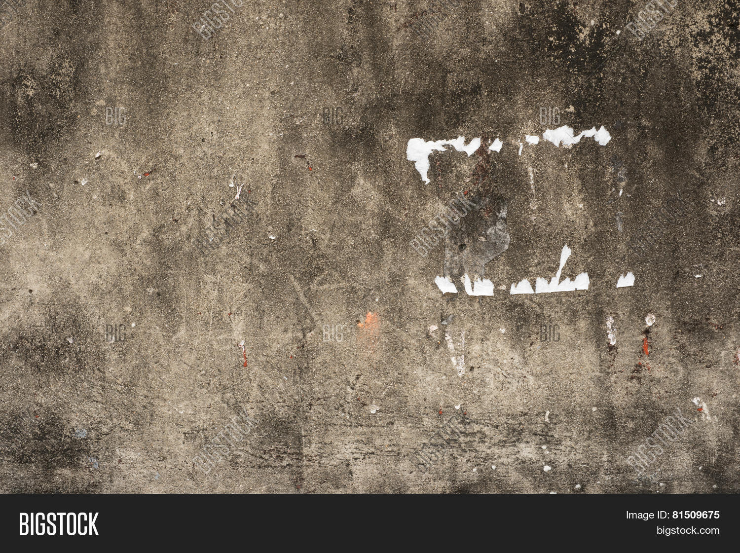 Closeup Fragment Image & Photo (Free Trial) | Bigstock