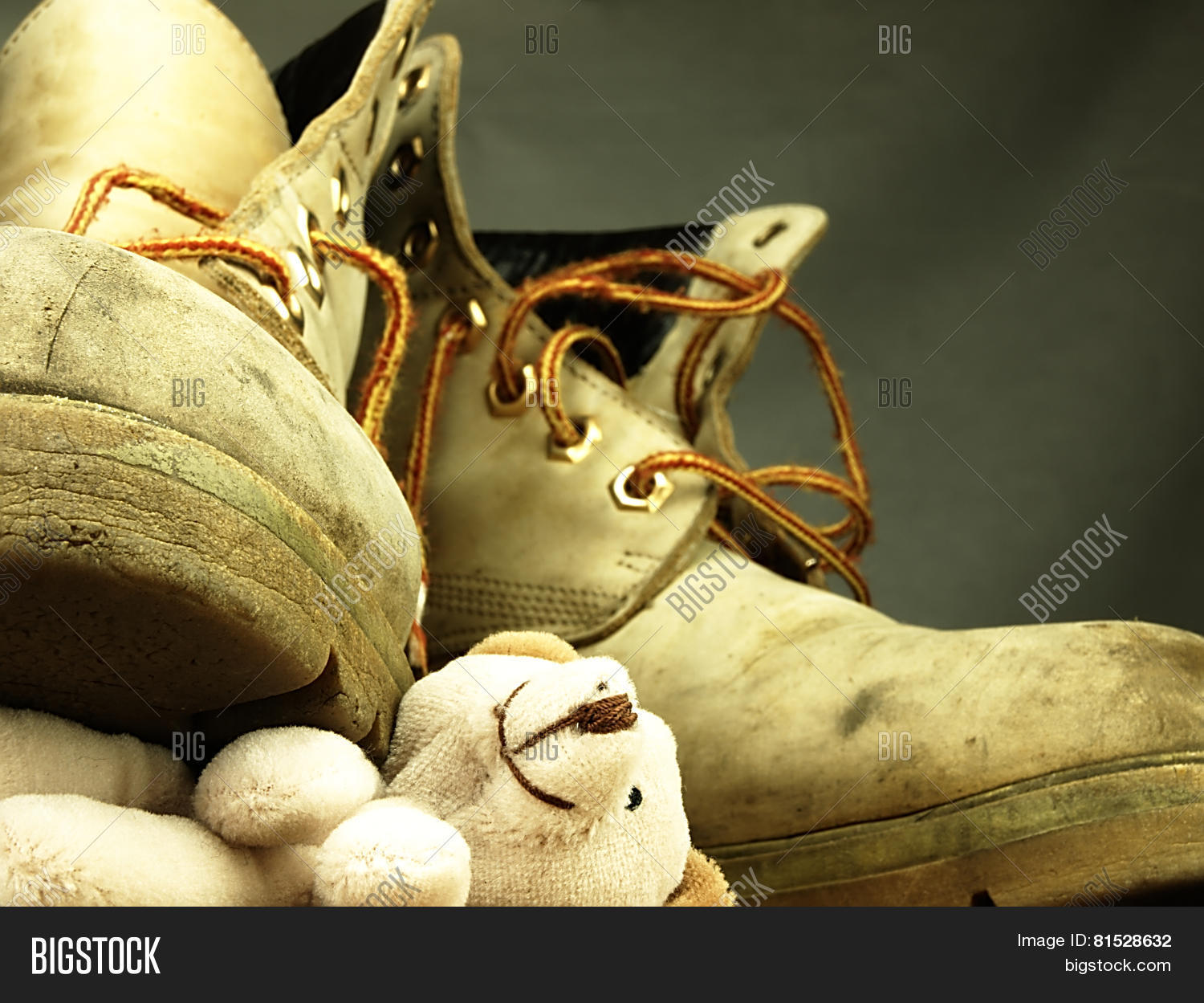 Teddy Bear Crushed By Image & Photo (Free Trial) | Bigstock