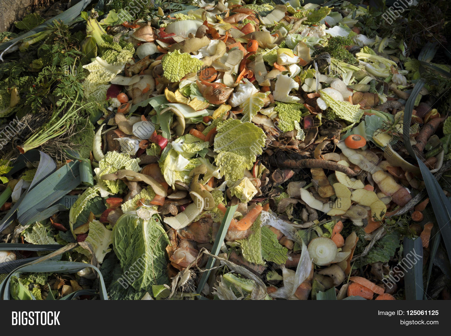 Garden Compost Heap Image & Photo (Free Trial) | Bigstock