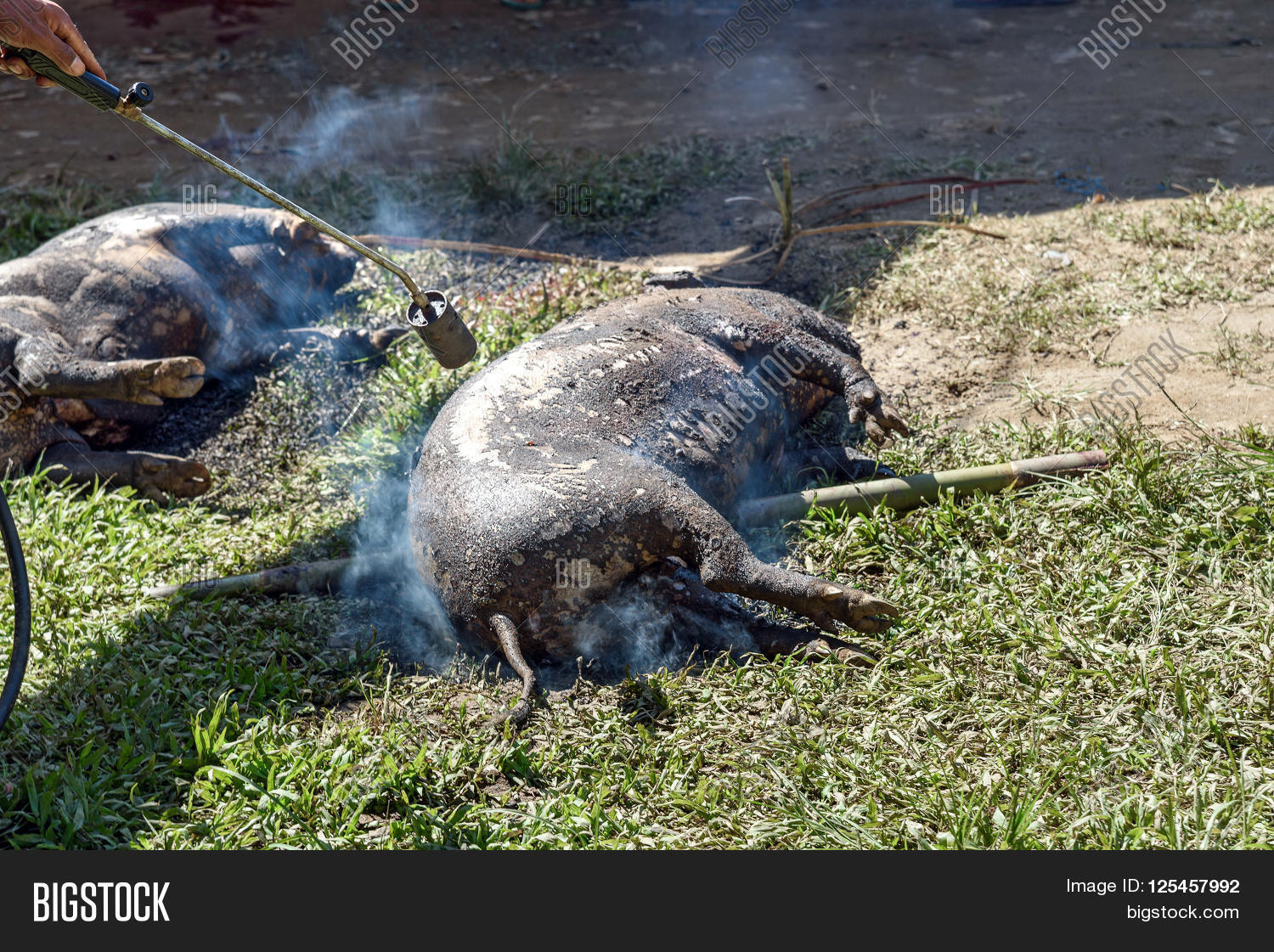 Burning Skin Image & Photo (Free Trial) | Bigstock