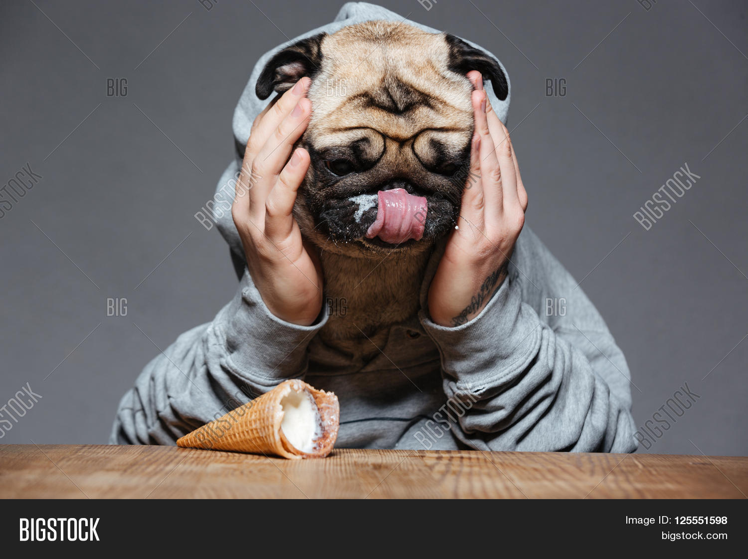 Sad Upset Man Pug Dog Image & Photo (Free Trial) | Bigstock