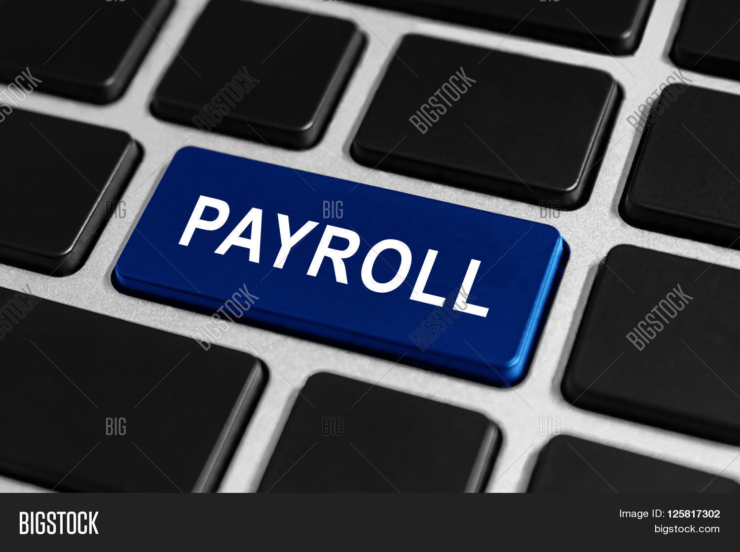 Payroll Blue Button On Image & Photo (Free Trial) | Bigstock