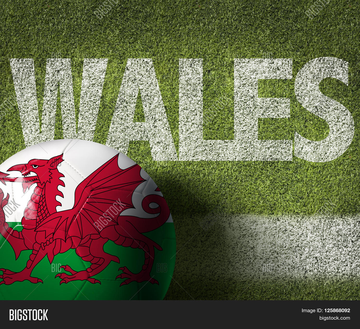Wales Ball Soccer Image & Photo (Free Trial) | Bigstock