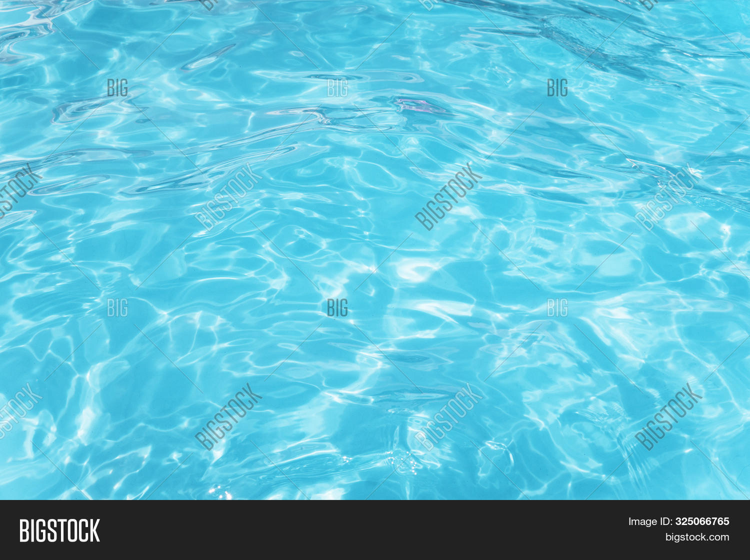 Light Blue Swimming Image & Photo (Free Trial) | Bigstock