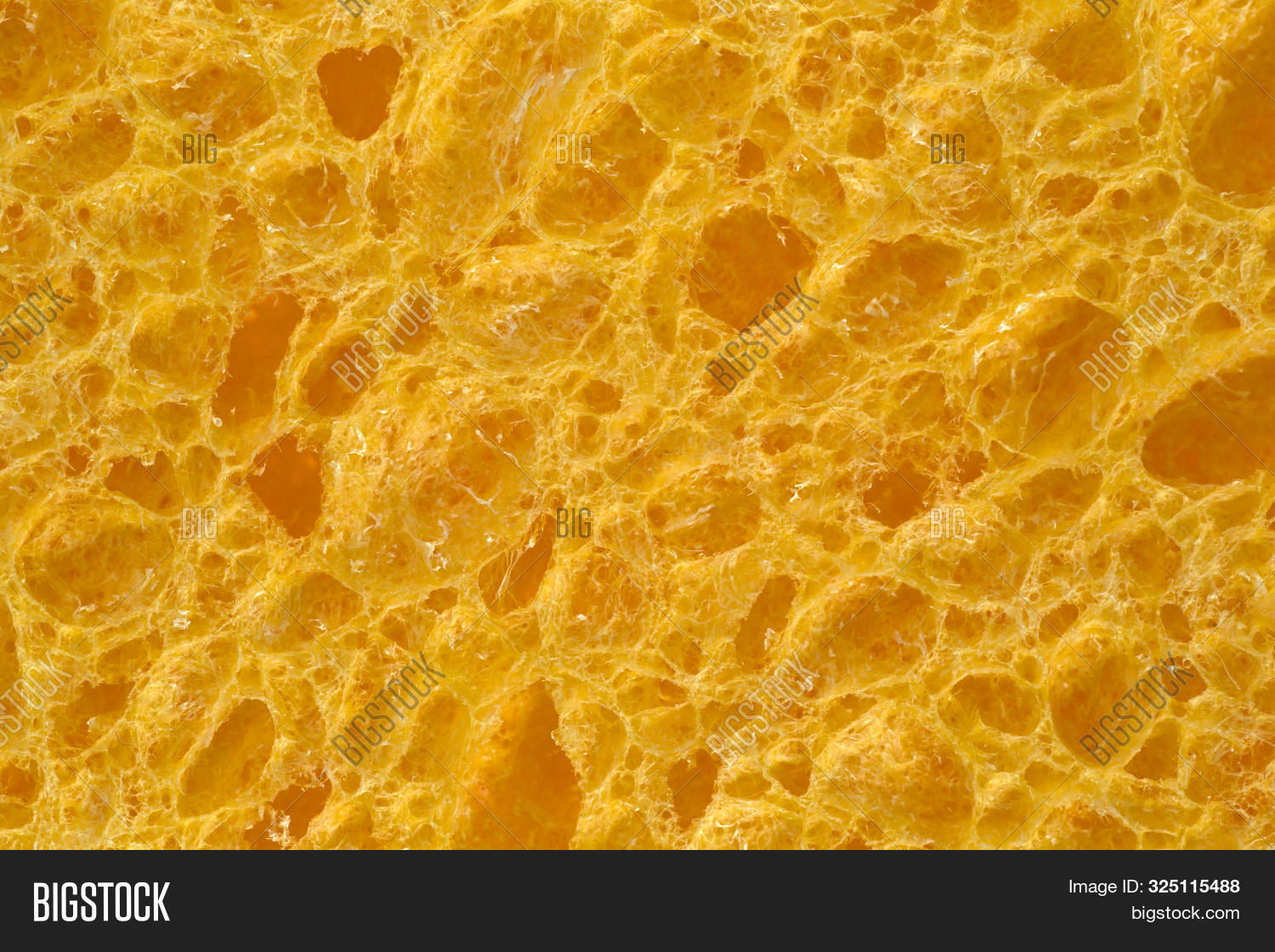Surface Foam Sponge Image & Photo (Free Trial) | Bigstock
