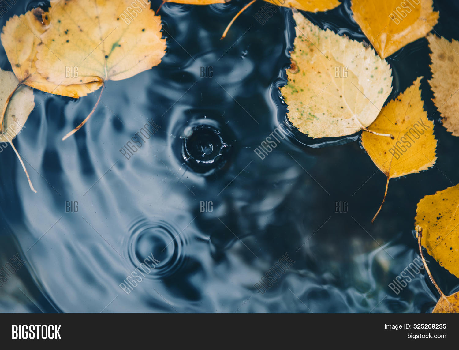 Big Drop Falling On Image & Photo (Free Trial) | Bigstock