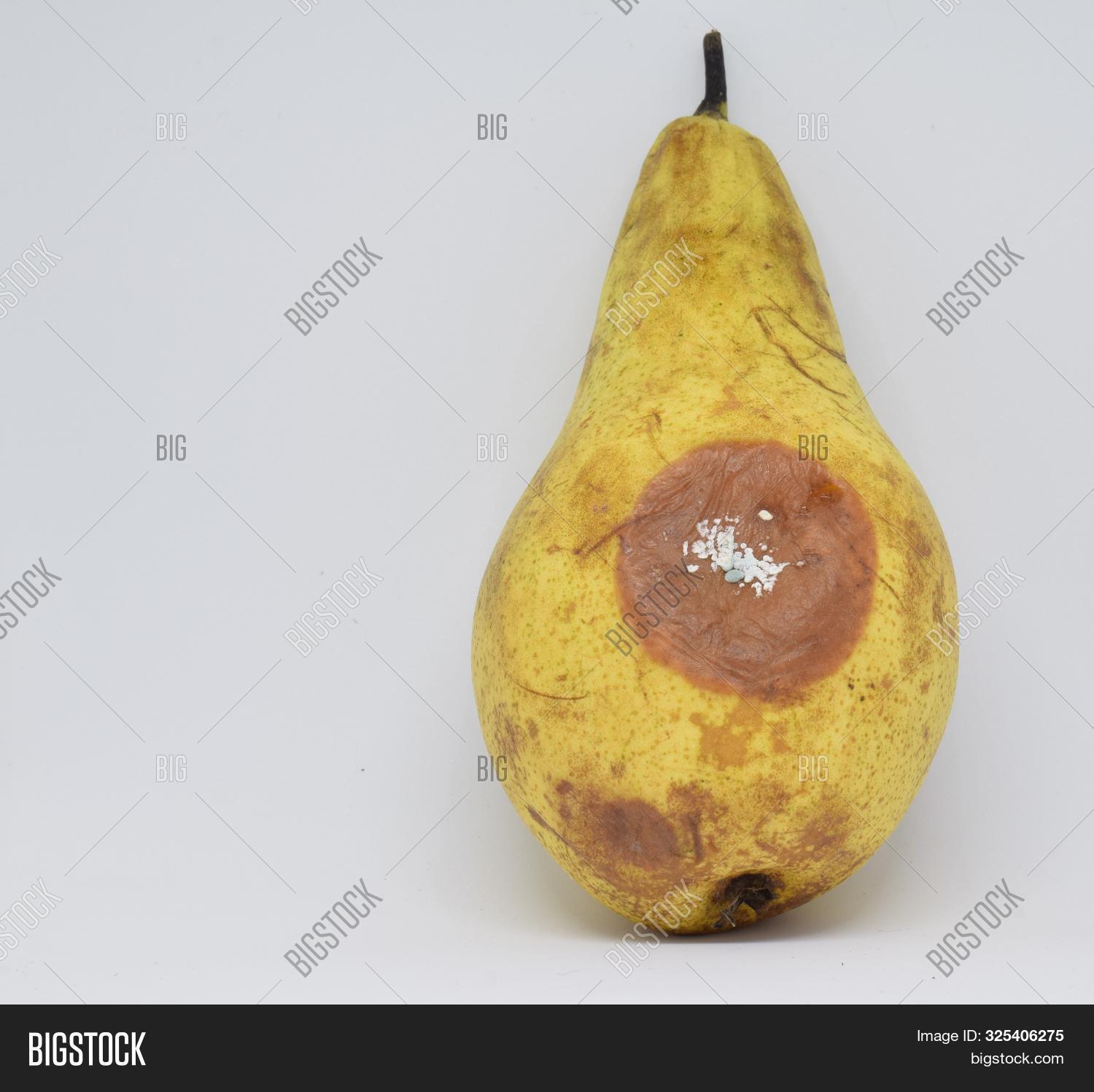 Imagen y foto Rotten Yellow Pear (prueba gratis) | Bigstock