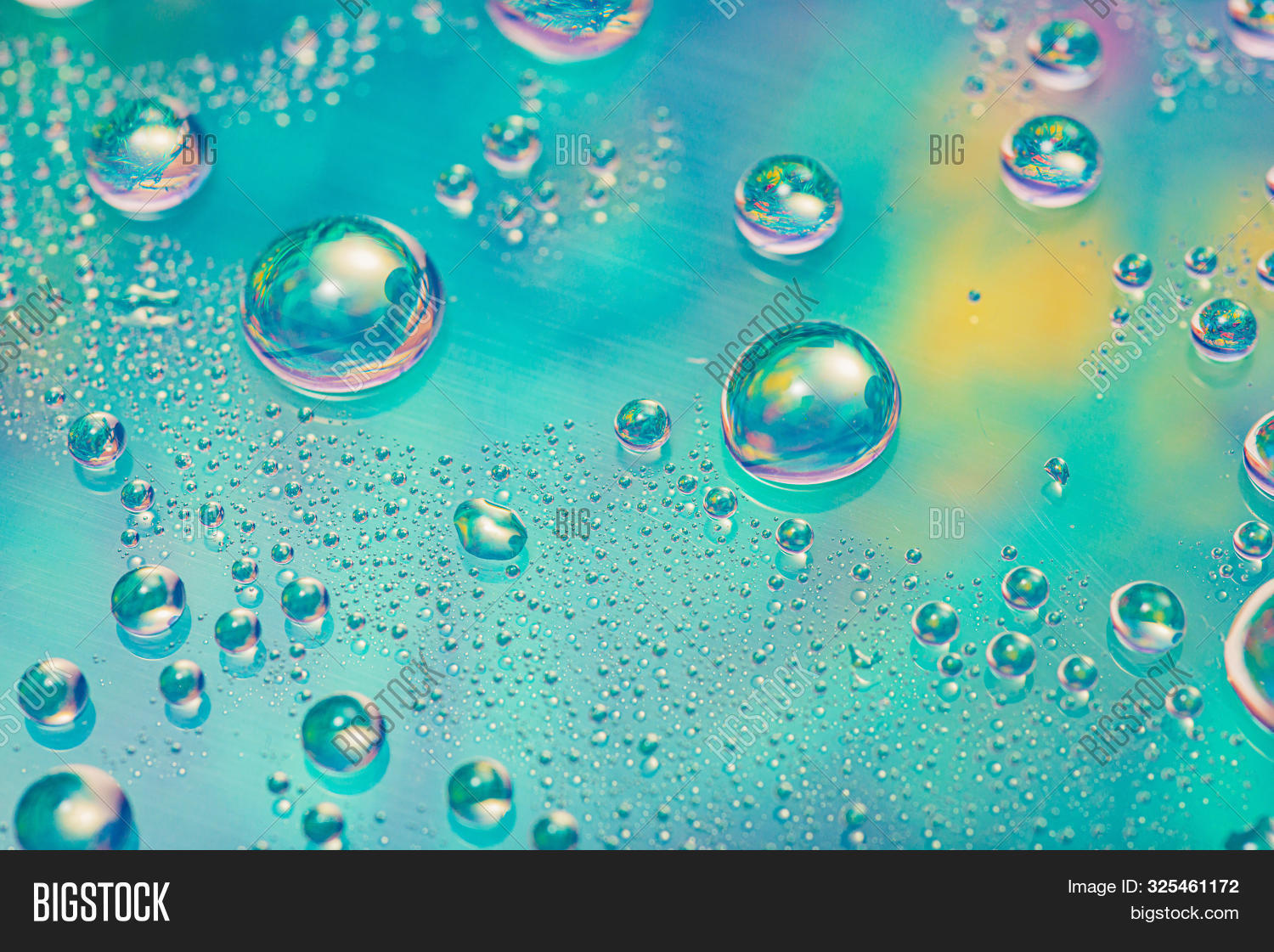 Shampoo Bubbles- Dish Image & Photo (Free Trial) | Bigstock