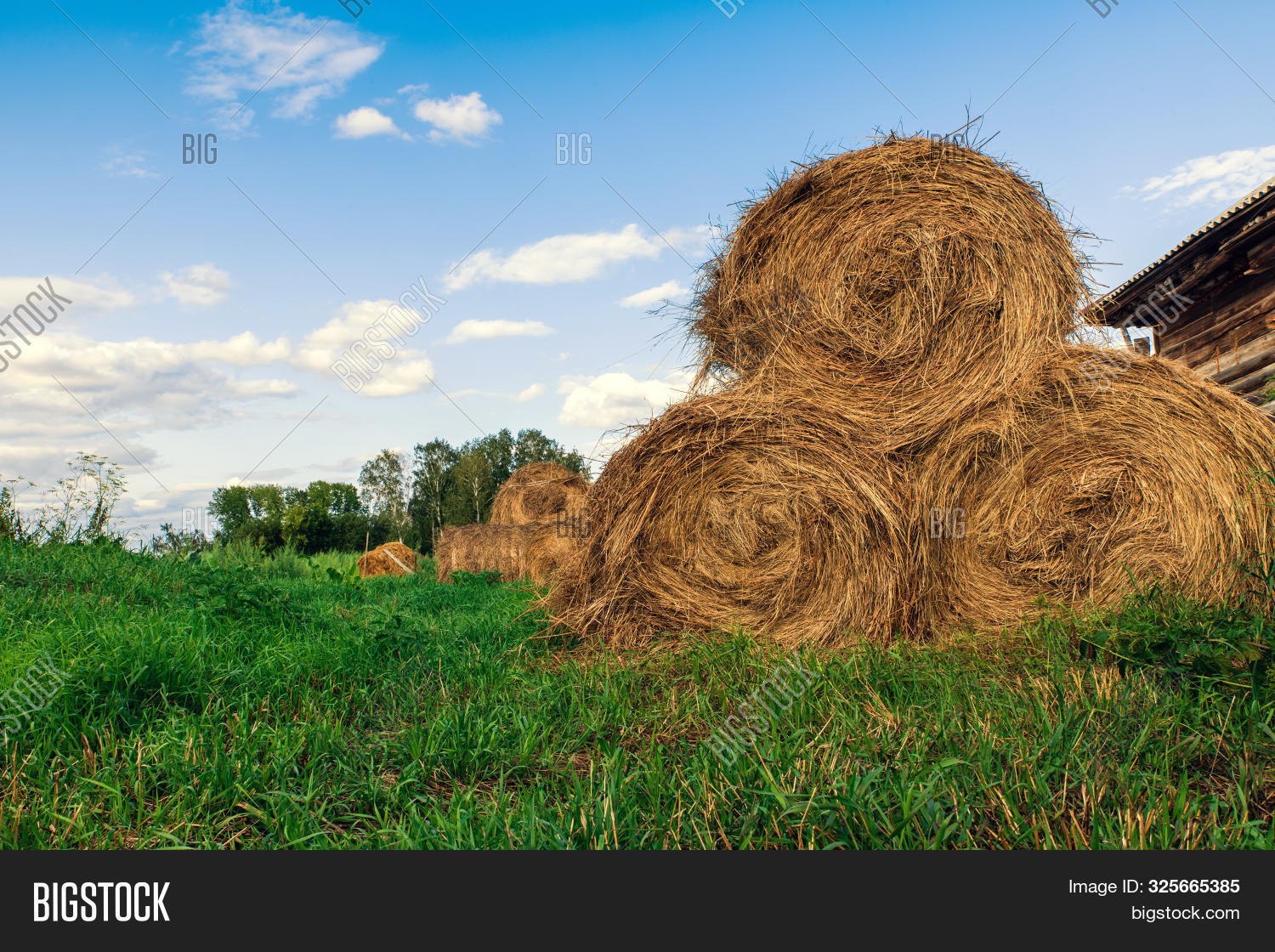 Dry Haystacks Feeding Image & Photo (Free Trial) | Bigstock