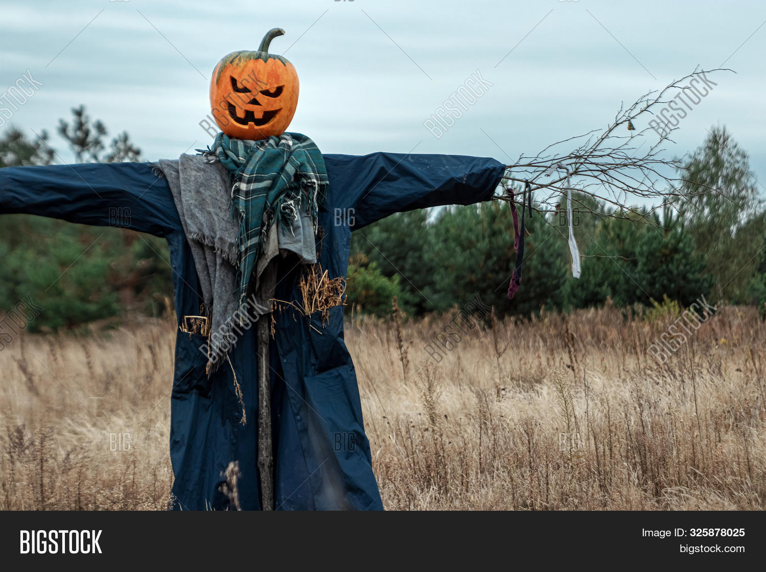 Scary Scarecrow Image & Photo (Free Trial) | Bigstock