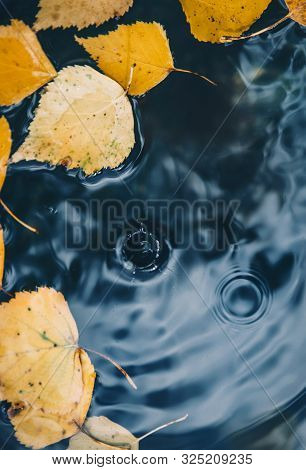 Big Drop Falling On Image & Photo (Free Trial) | Bigstock