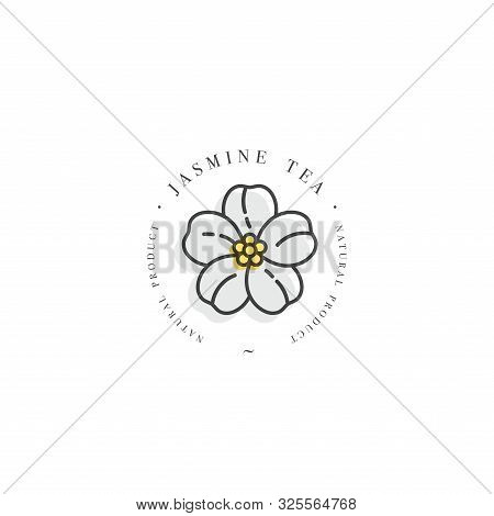 Packaging Design Vector & Photo (Free Trial) | Bigstock