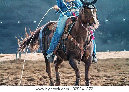 Female Horseback Rider Image & Photo (Free Trial) | Bigstock