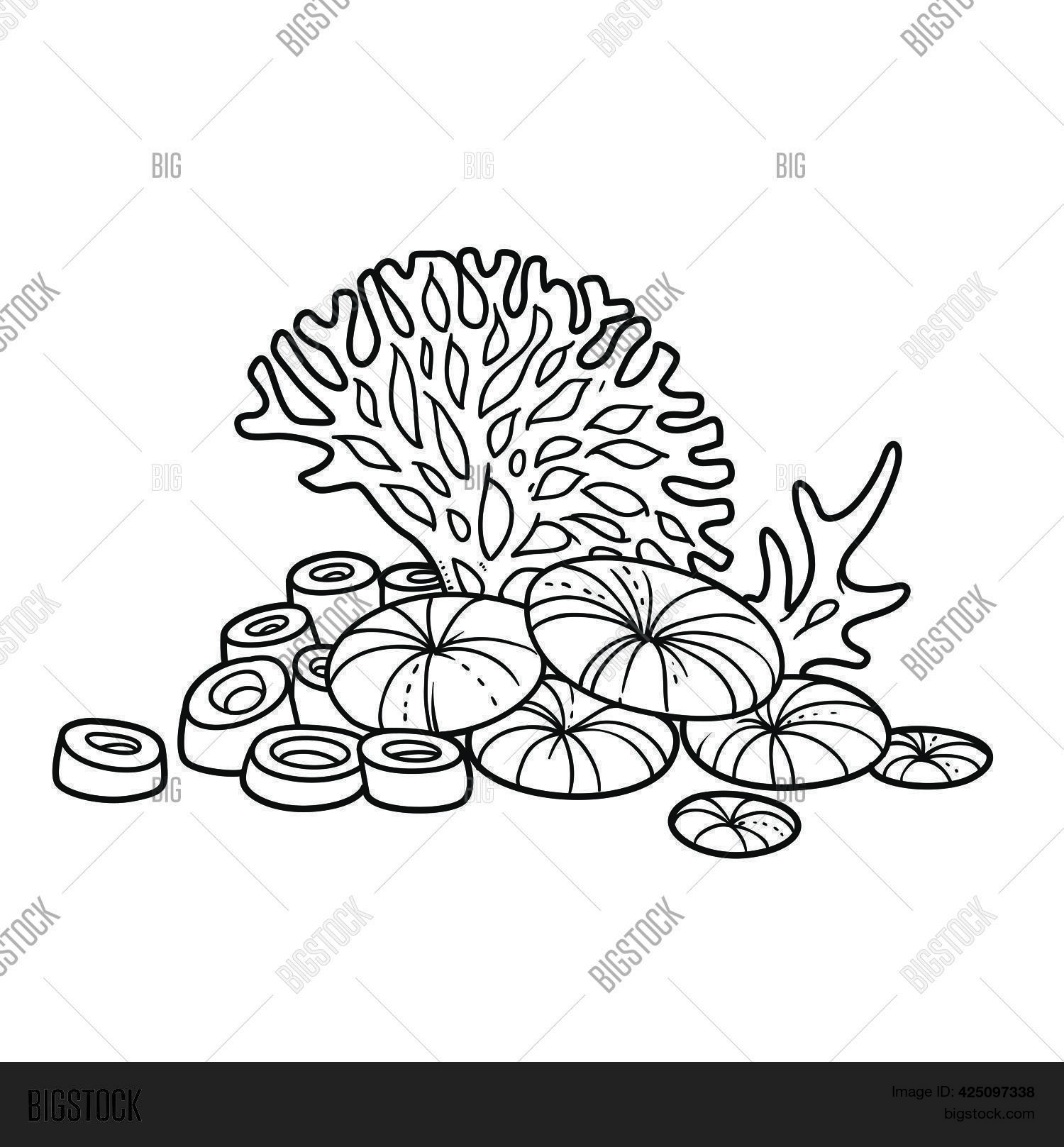 Corals Grow On Sea Vector & Photo (Free Trial) | Bigstock