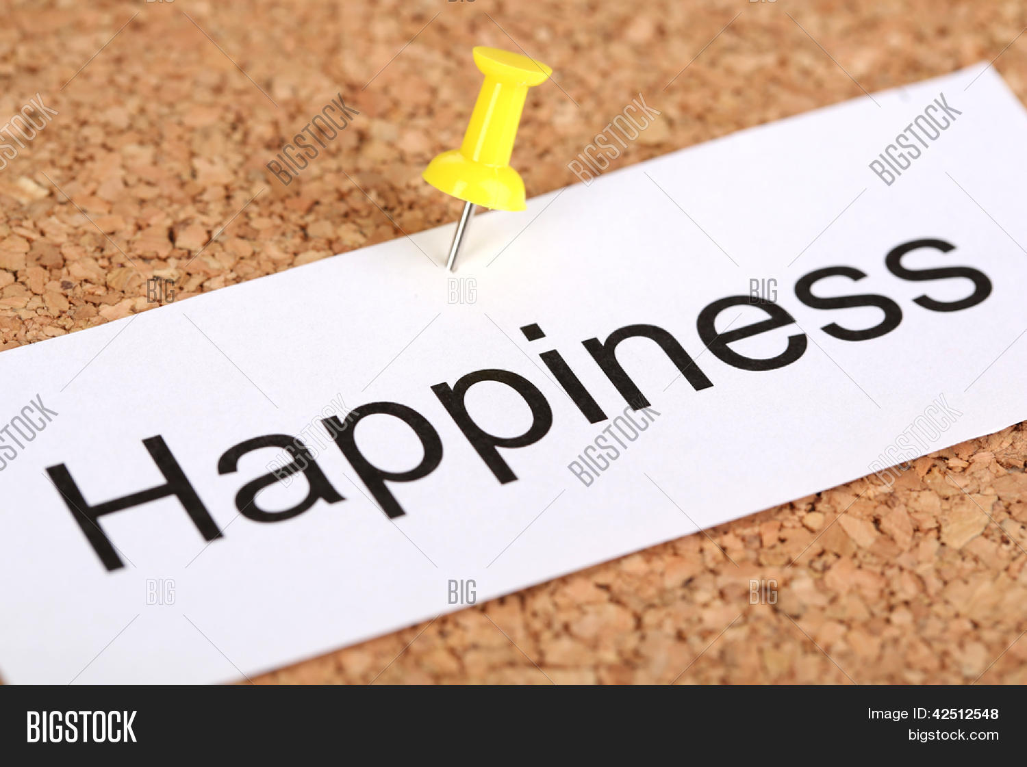 Push Pin On Paper Word Image & Photo (Free Trial) | Bigstock