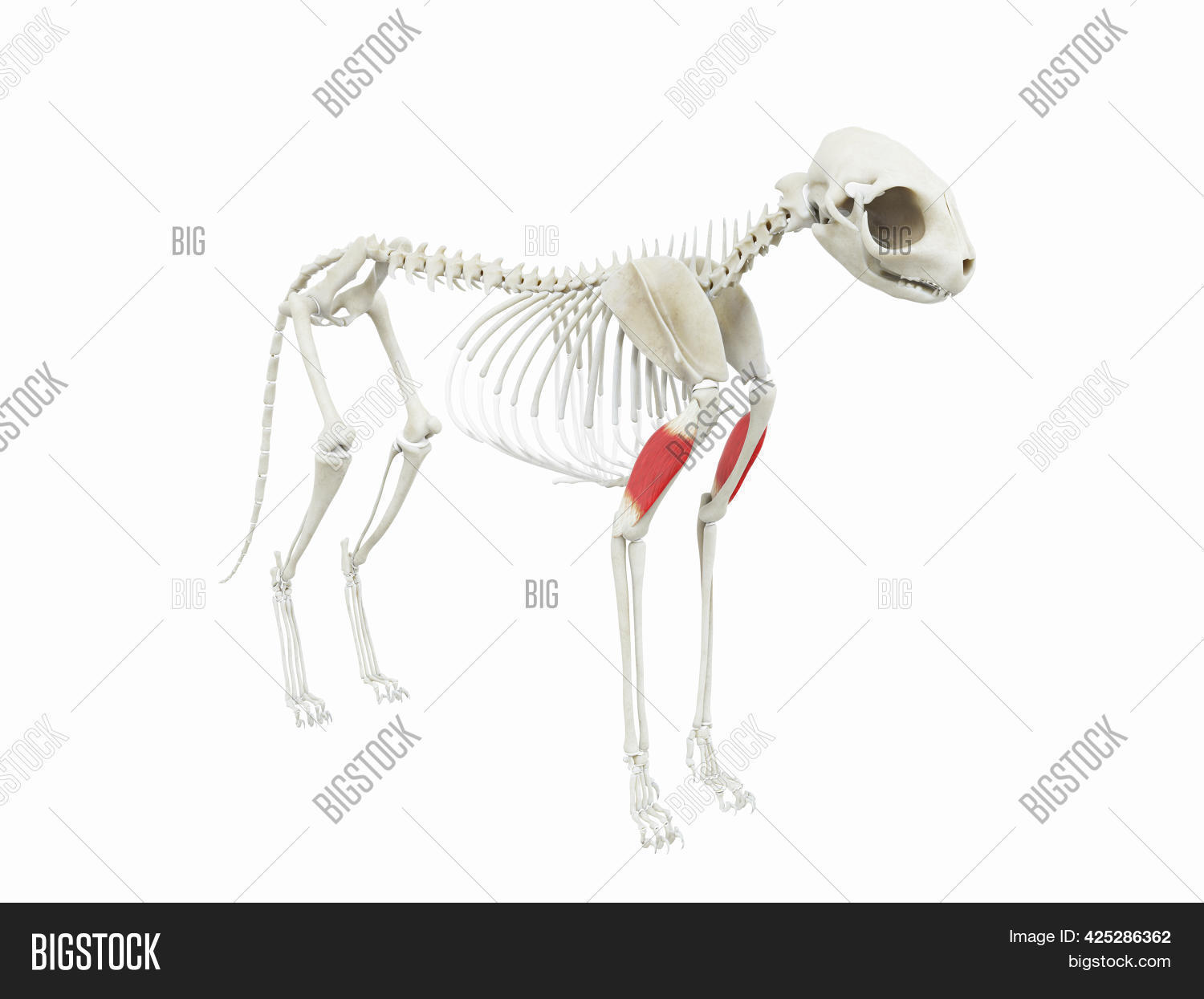 3d Rendered Image & Photo (Free Trial) | Bigstock