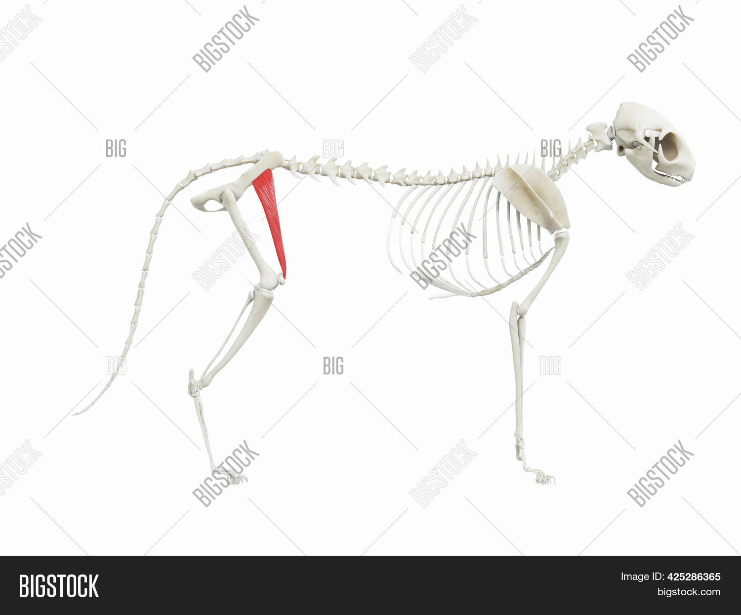 3d Rendered Image & Photo (Free Trial) | Bigstock