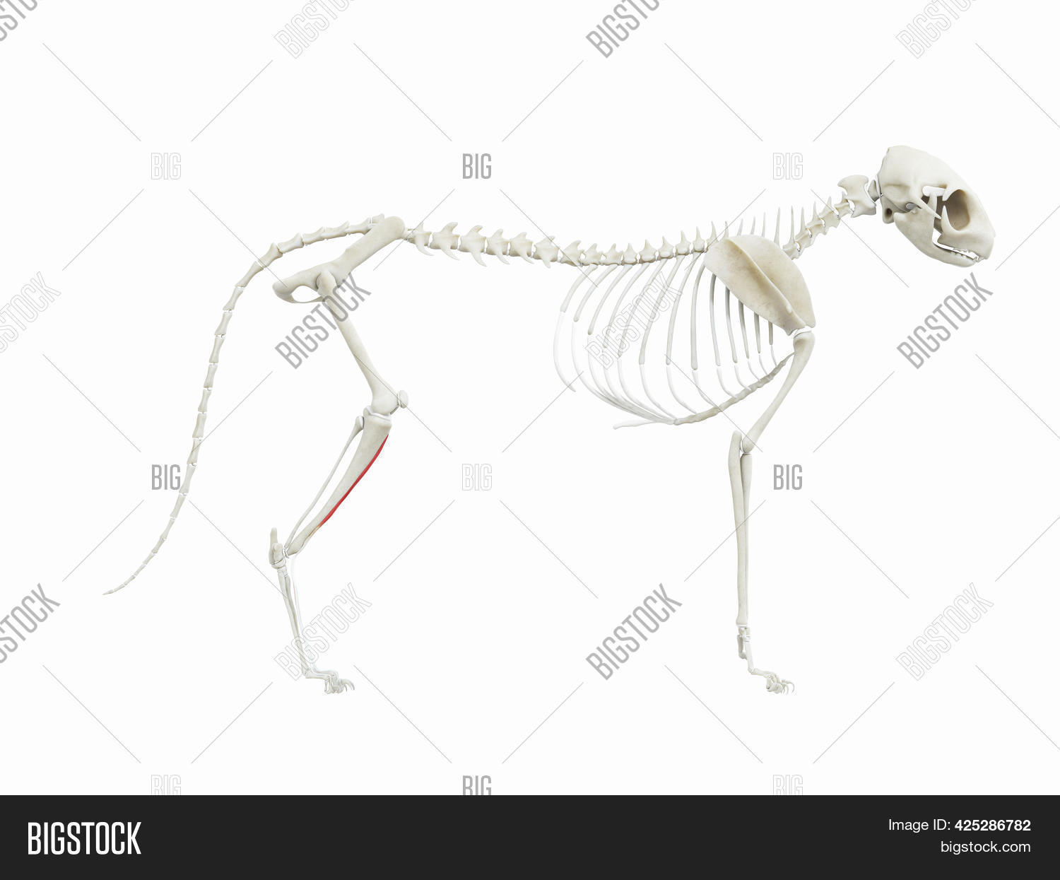 3d Rendered Image & Photo (Free Trial) | Bigstock