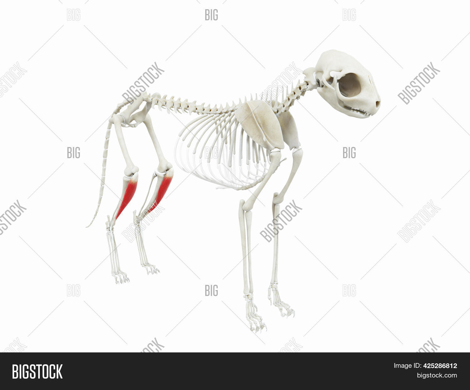 3d Rendered Image & Photo (Free Trial) | Bigstock