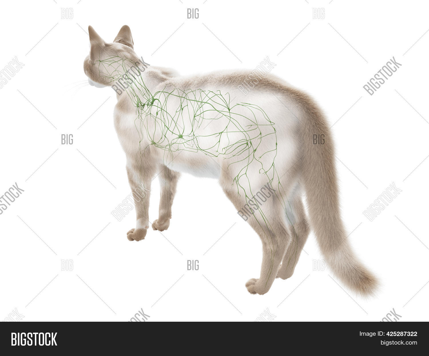 3d Rendered Image & Photo (Free Trial) | Bigstock