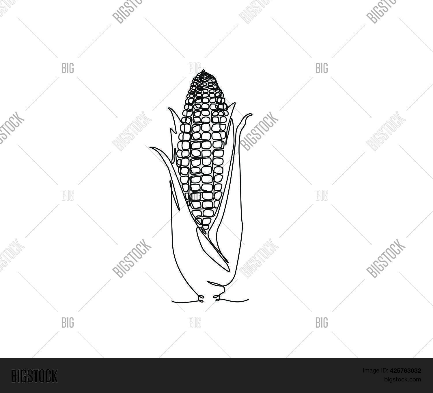 Corn Continuous Line Vector & Photo (Free Trial) | Bigstock