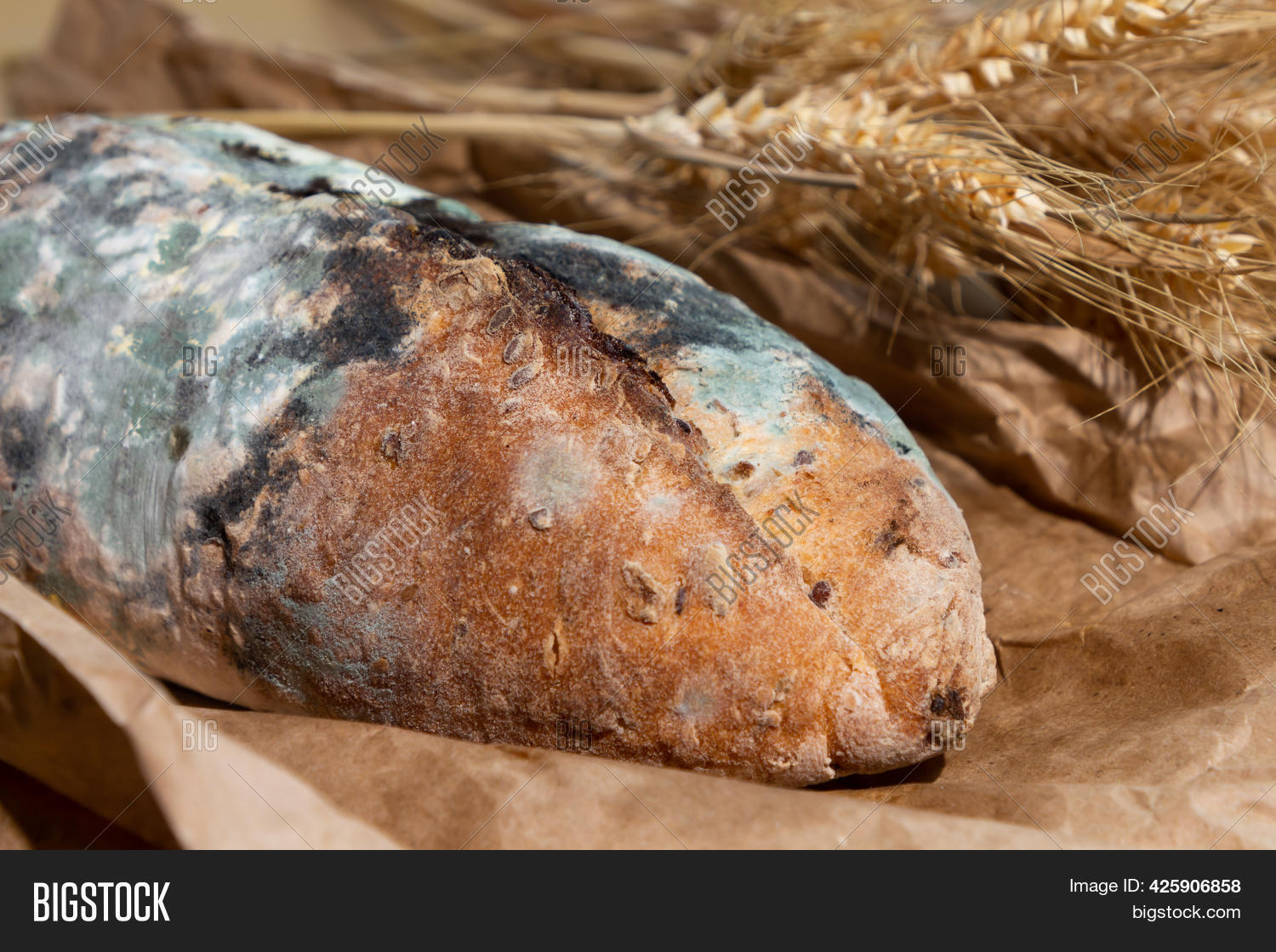 Green Moldy Bread On Image & Photo (Free Trial) | Bigstock