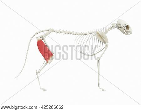 3d Rendered Image & Photo (Free Trial) | Bigstock