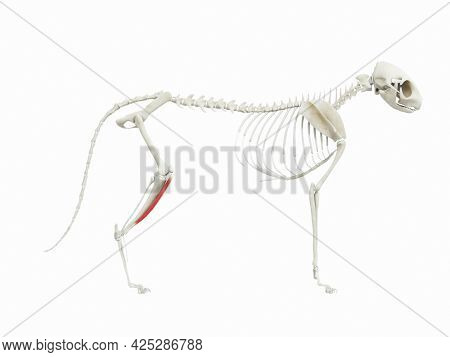 3d Rendered Image & Photo (Free Trial) | Bigstock