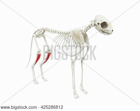 3d Rendered Image & Photo (Free Trial) | Bigstock