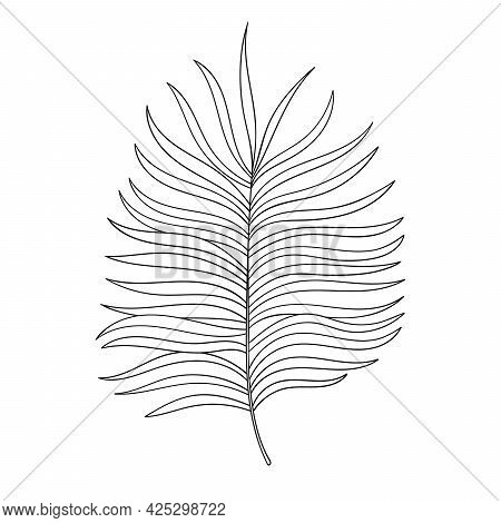Palm Outline Vector Vector & Photo (Free Trial) | Bigstock