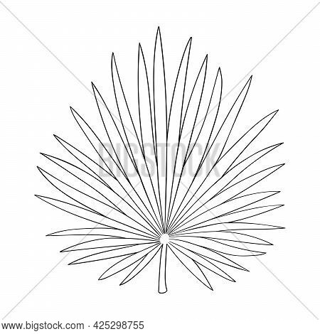Palm Outline Vector Vector & Photo (Free Trial) | Bigstock