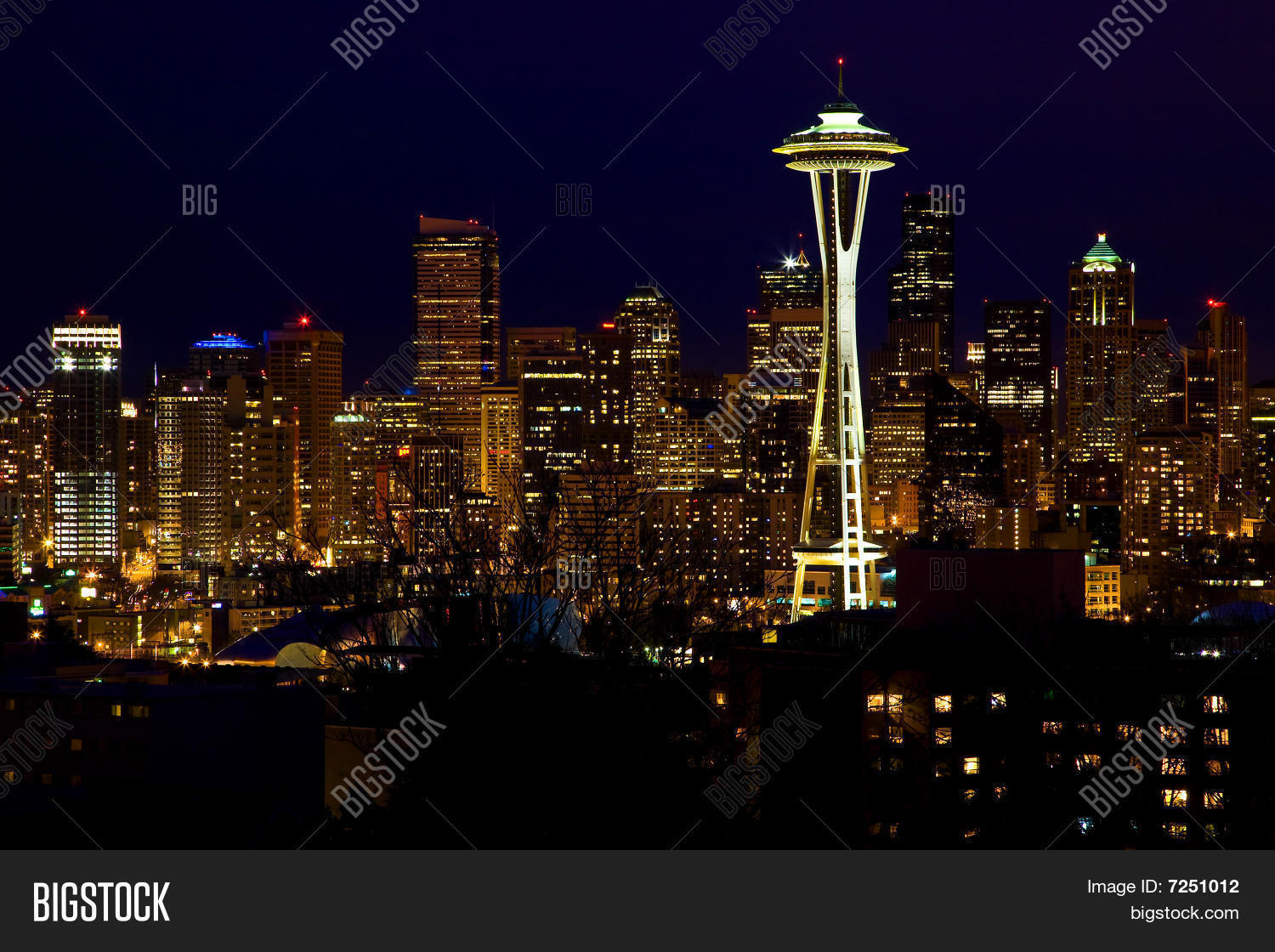 Seattle Skyline Space Image & Photo (Free Trial) | Bigstock