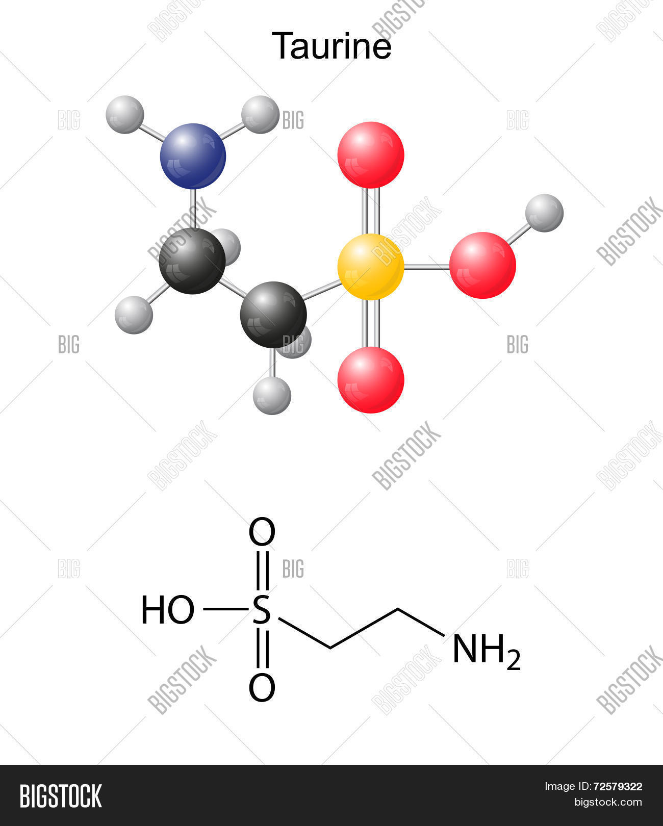 Taurine (tau) - Vector & Photo (Free Trial) | Bigstock
