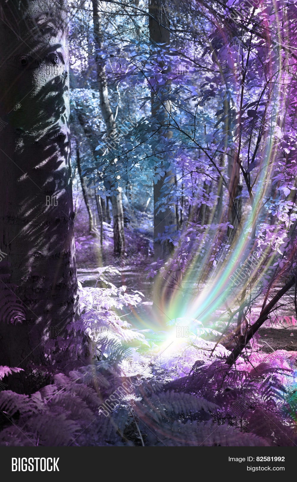 Tree Spirit Image & Photo (Free Trial) | Bigstock