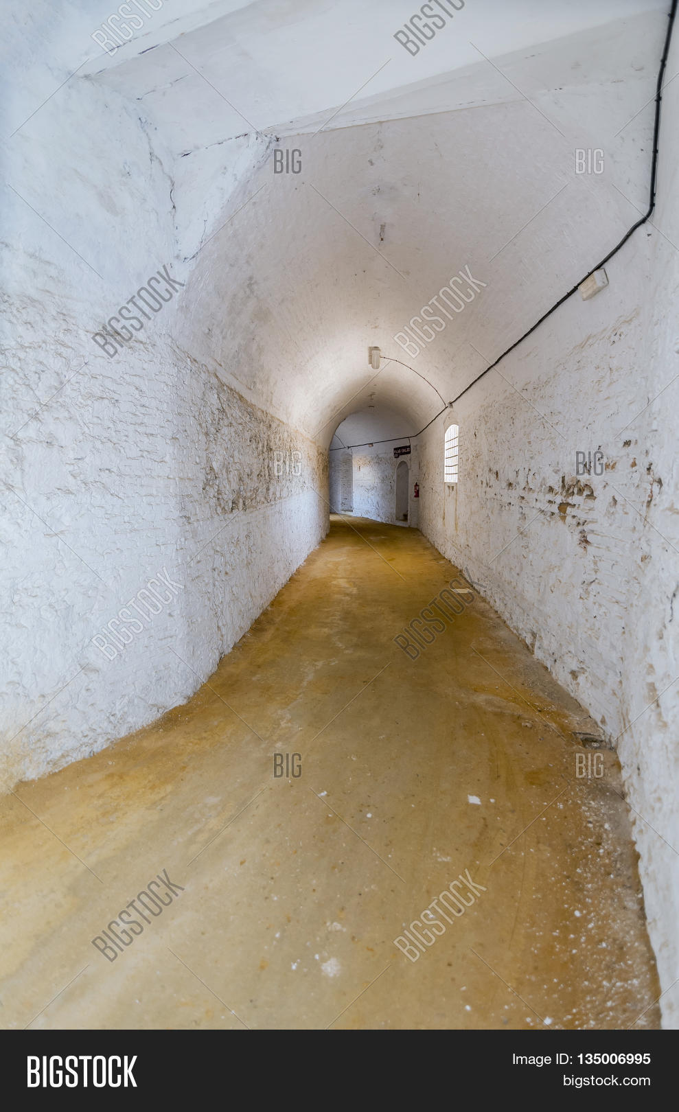 Cabra Spain - Image & Photo (Free Trial) | Bigstock