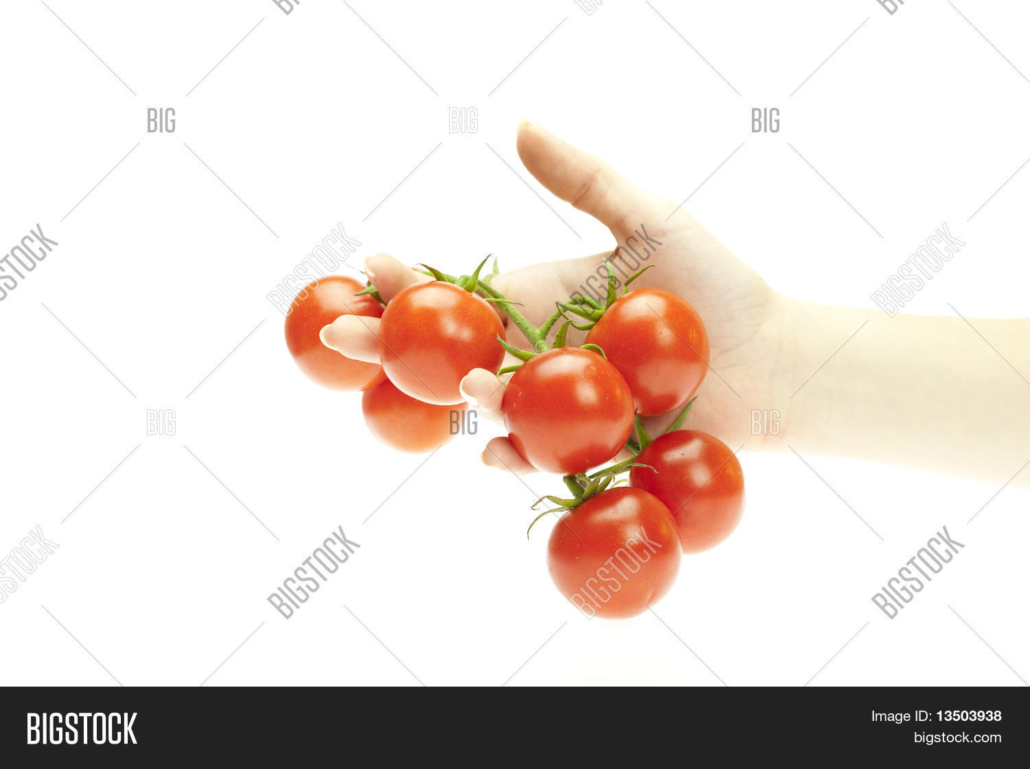Tomatoes Hand Isolated Image & Photo (Free Trial) | Bigstock