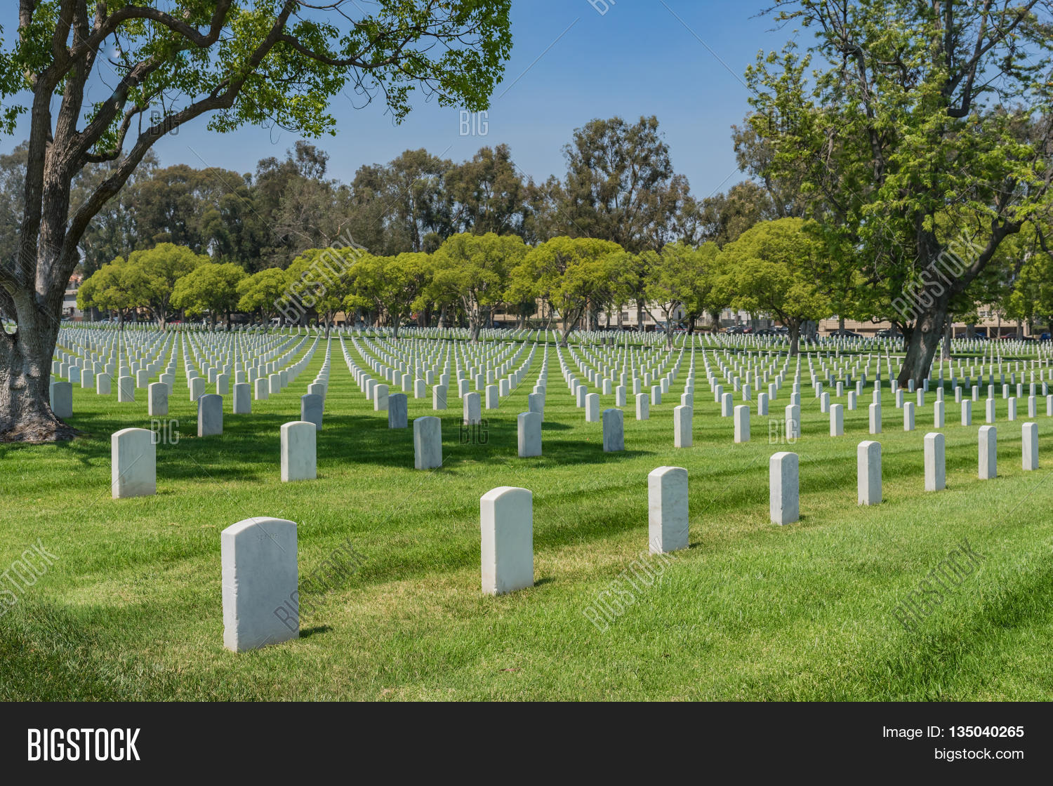 Lines Graves Cemetery Image & Photo (Free Trial) | Bigstock