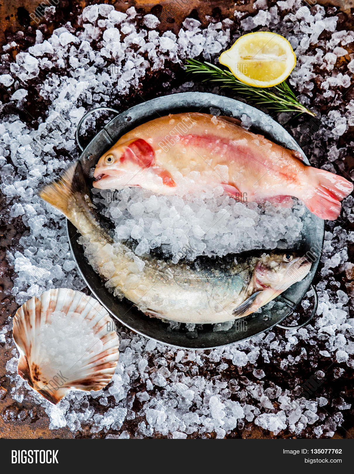 Fresh Fish Image & Photo (Free Trial) | Bigstock