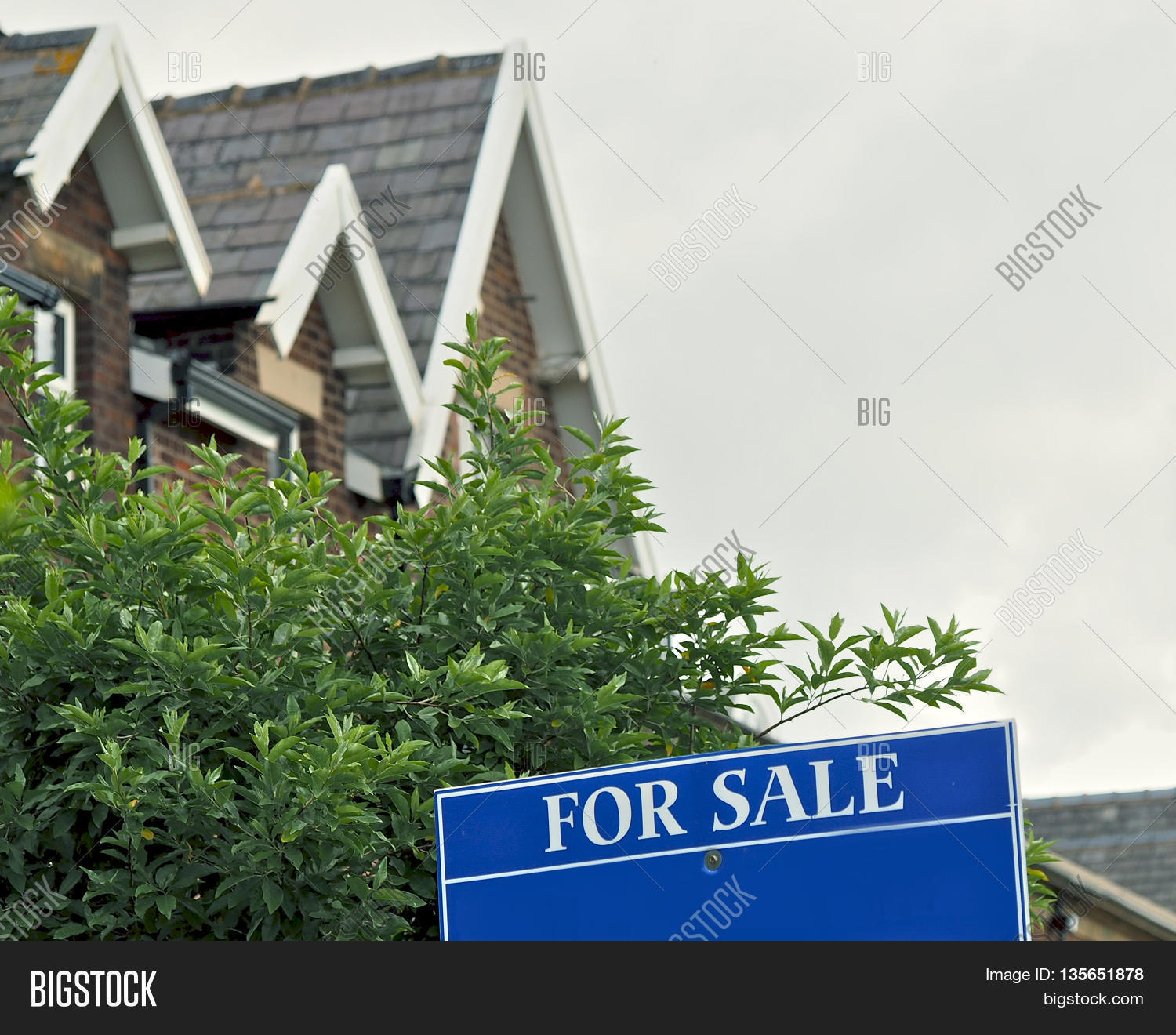 Property Sale Sign Image & Photo (Free Trial) | Bigstock