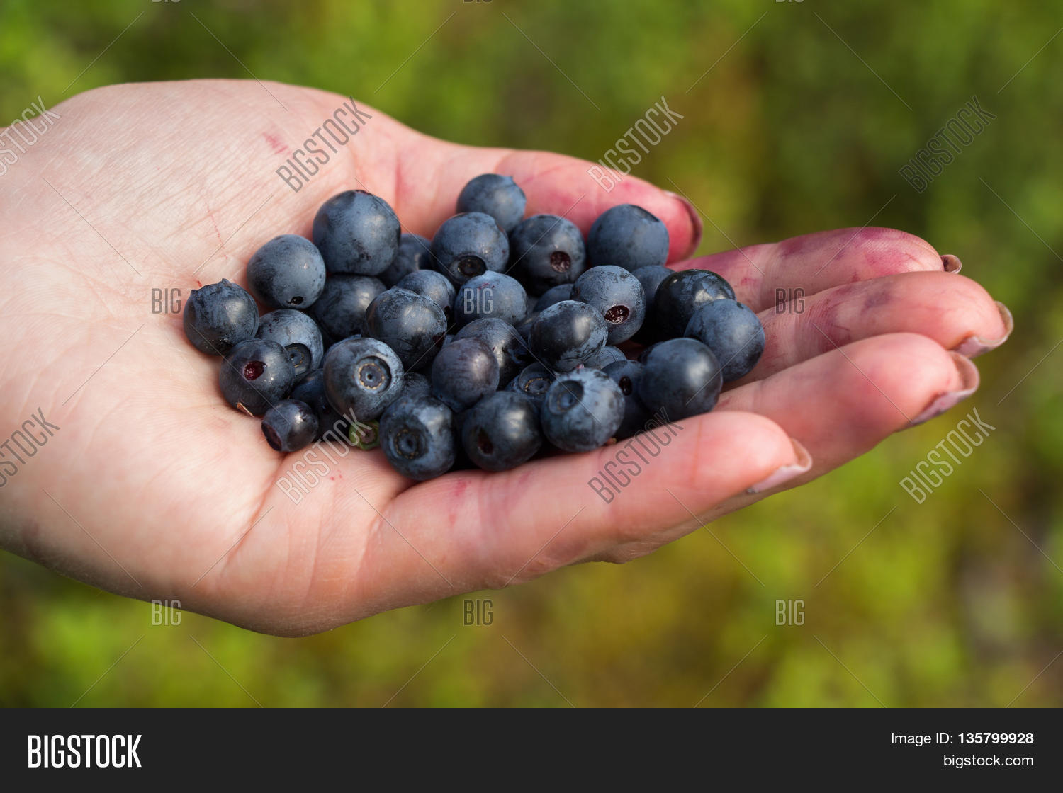 Handful Beautiful Ripe Image & Photo (Free Trial) | Bigstock