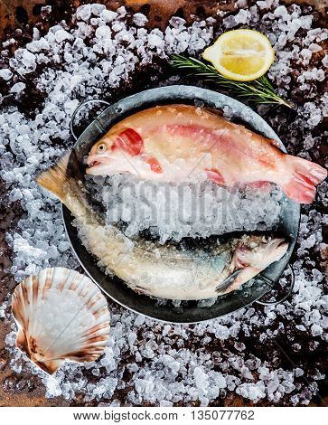 Fresh Fish Image & Photo (Free Trial) | Bigstock