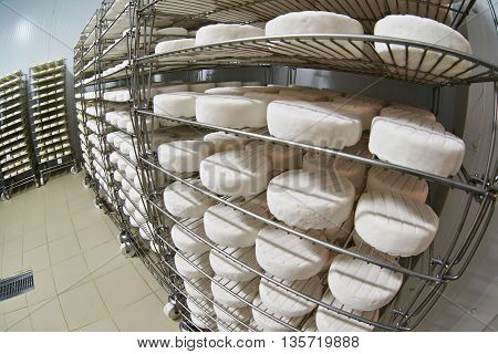 Ripening Soft Cheese Image & Photo (Free Trial) | Bigstock