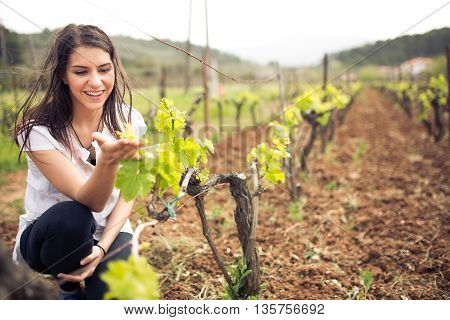 A Happy young woman working in the vineyard.Happy woman winery owner ...